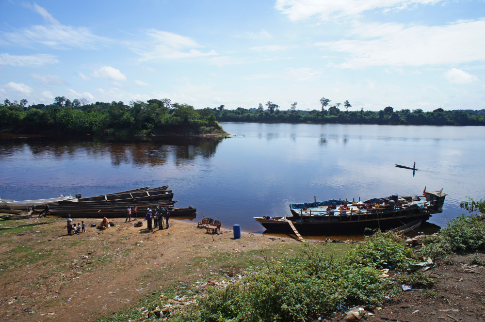 Geography: Congo Rainforest: Level 1 activity for kids | PrimaryLeap.co.uk