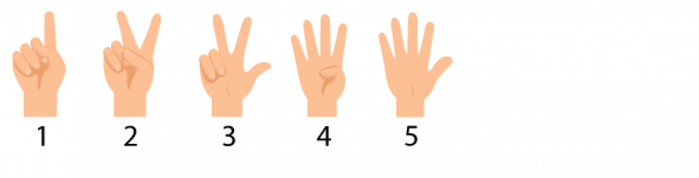 Maths: Counting In Fives: Level 2 activity for kids | PrimaryLeap.co.uk