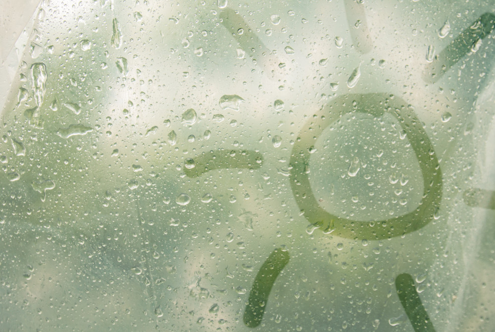 Physics: How Light Behaves: Level 1 activity for kids | PrimaryLeap.co.uk