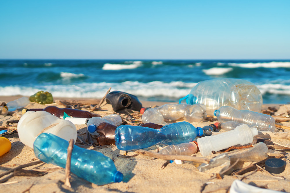 Geography: Plastic Pollution: Level 1 activity for kids | PrimaryLeap.co.uk