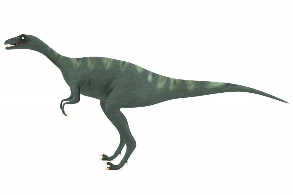 History: Eoraptor: Level 1 activity for kids | PrimaryLeap.co.uk