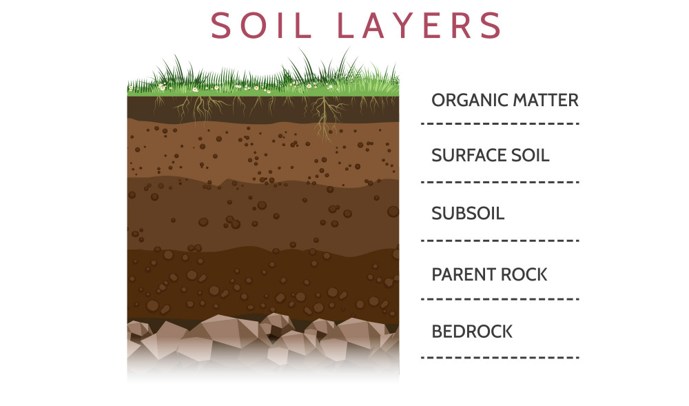 Chemistry: Soil: Level 3 activity for kids | PrimaryLeap.co.uk
