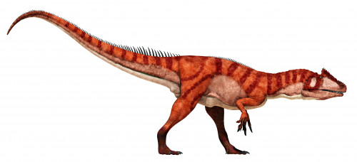History: Allosaurus: Level 1 activity for kids | PrimaryLeap.co.uk