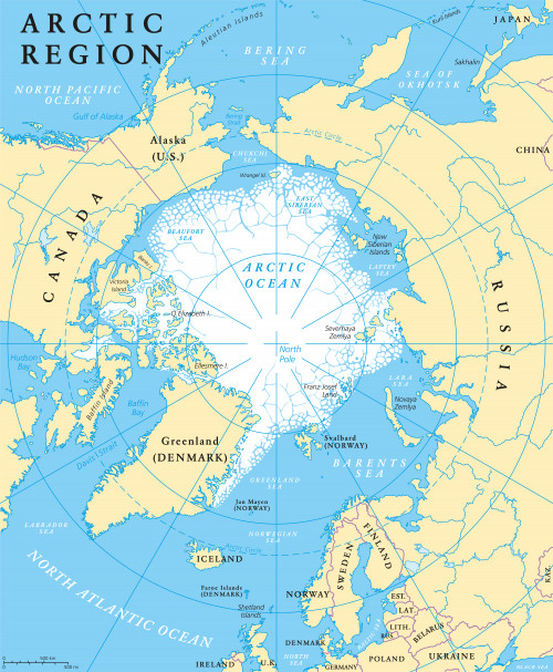 Geography: Arctic And Antarctic Circles: Level 1 activity for kids ...