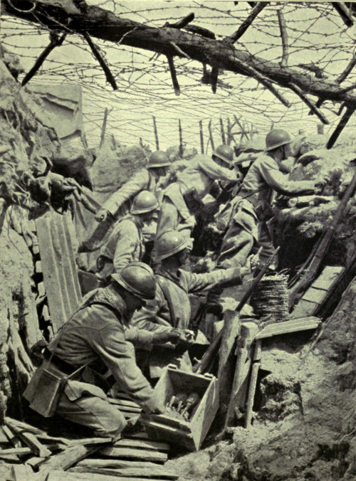 History: Battle Of The Somme: Level 1 activity for kids | PrimaryLeap.co.uk