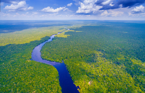 Geography: Amazon Rainforest: Level 1 activity for kids | PrimaryLeap.co.uk