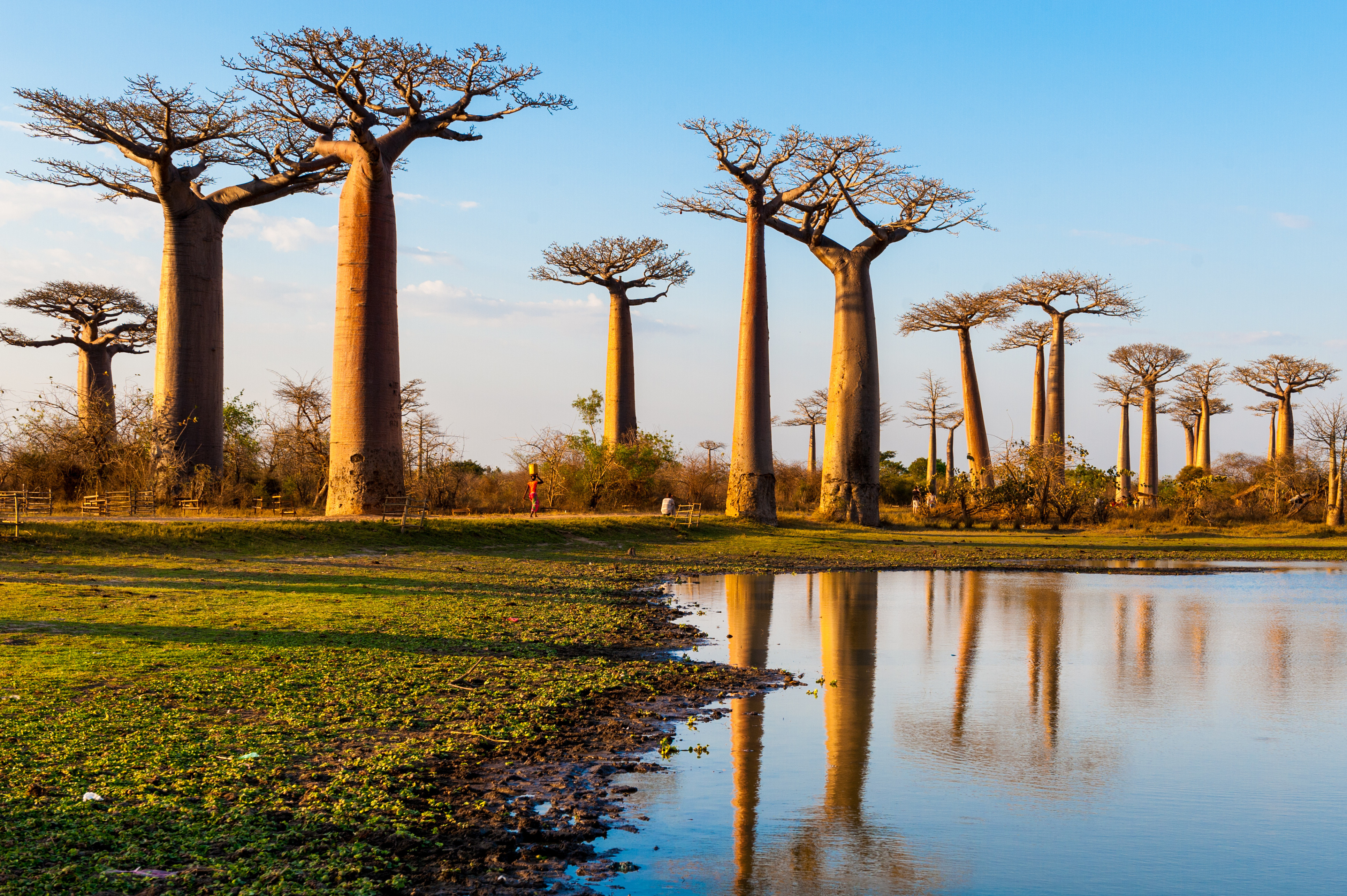 Geography: Madagascar: Level 3 activity for kids | PrimaryLeap.co.uk