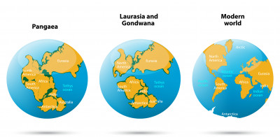 History: The Cretaceous Period: Level 2 activity for kids | PrimaryLeap ...